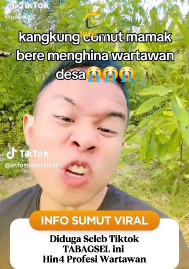 Tiktokers Asal Tapsel Bergaya Banci Diduga Hina Profesi Wartawan ...